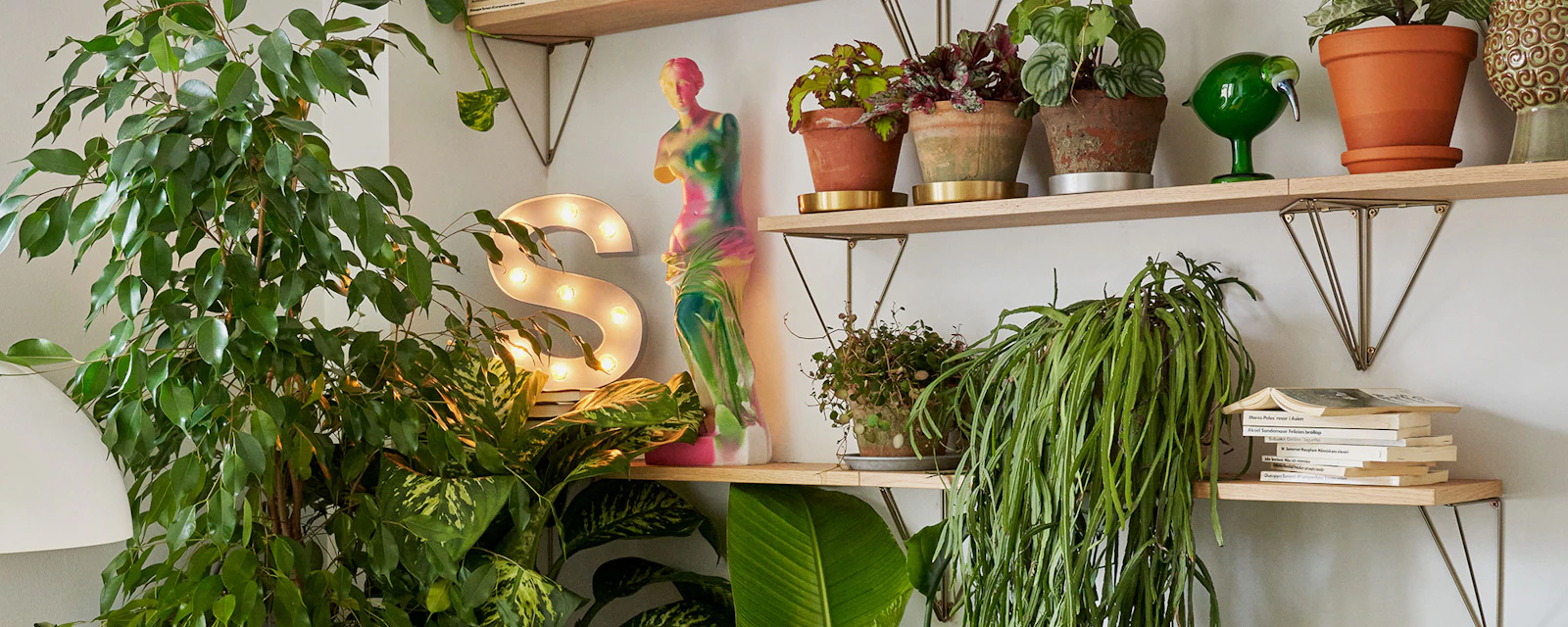 På spaning med Trendstefan | Royaldesign.se